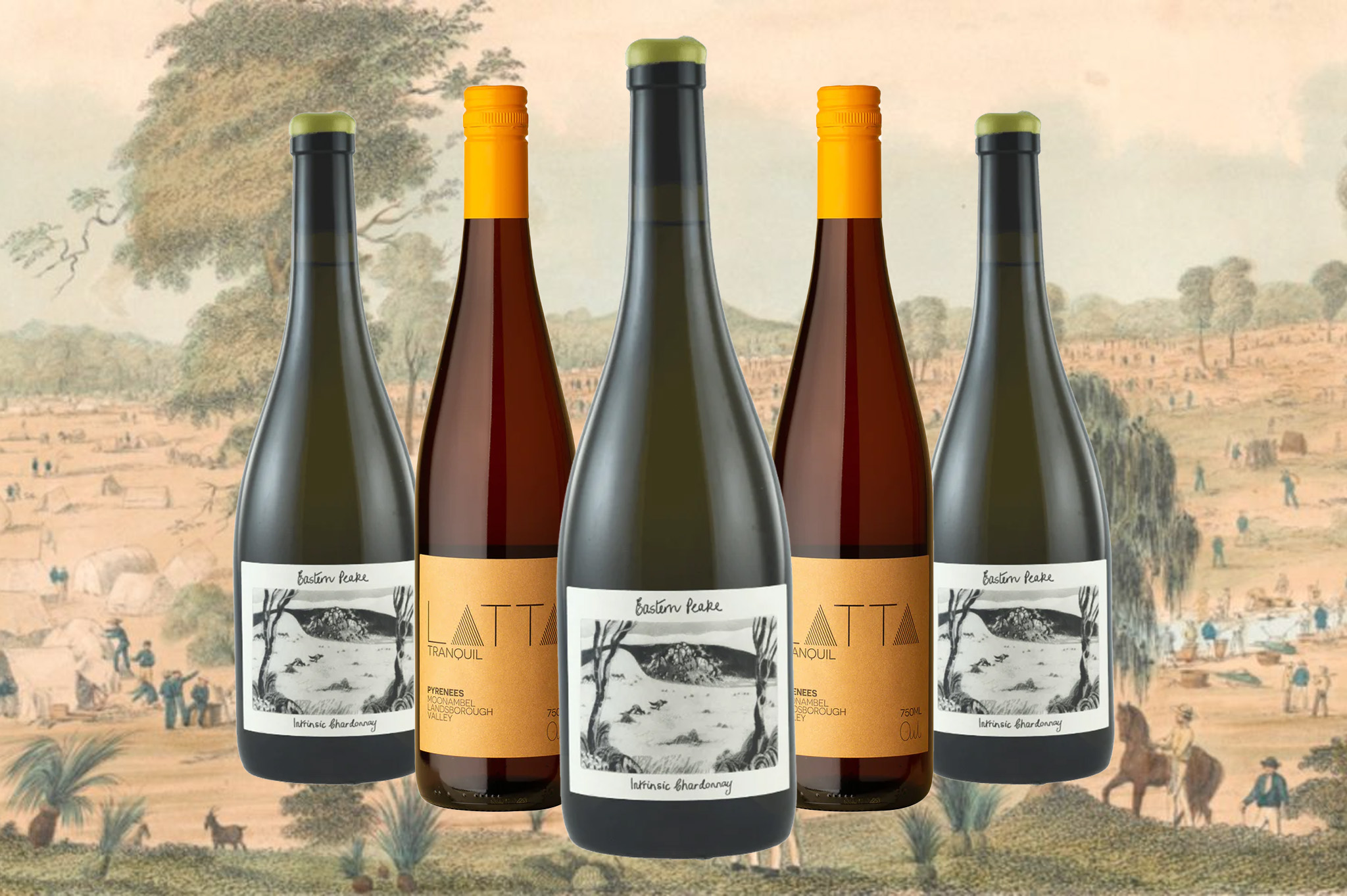 Latta Wines: The Trailblazing Victorian Family Making Liquid Gold