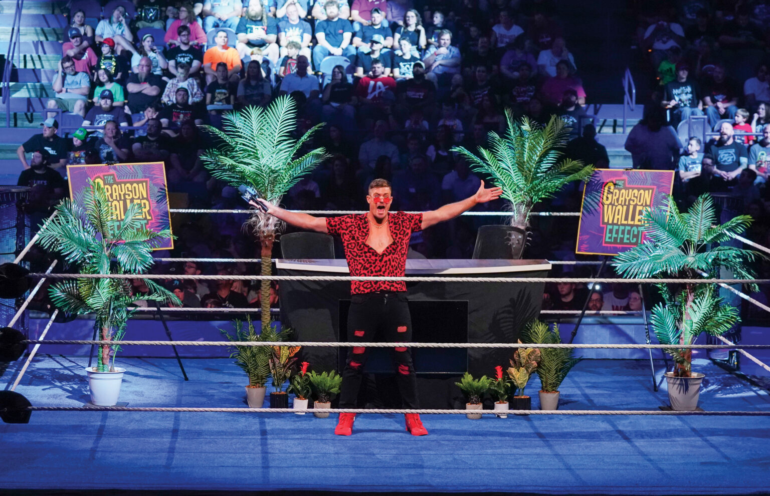 Meet The Australian Wrestlers Taking Over The WWE