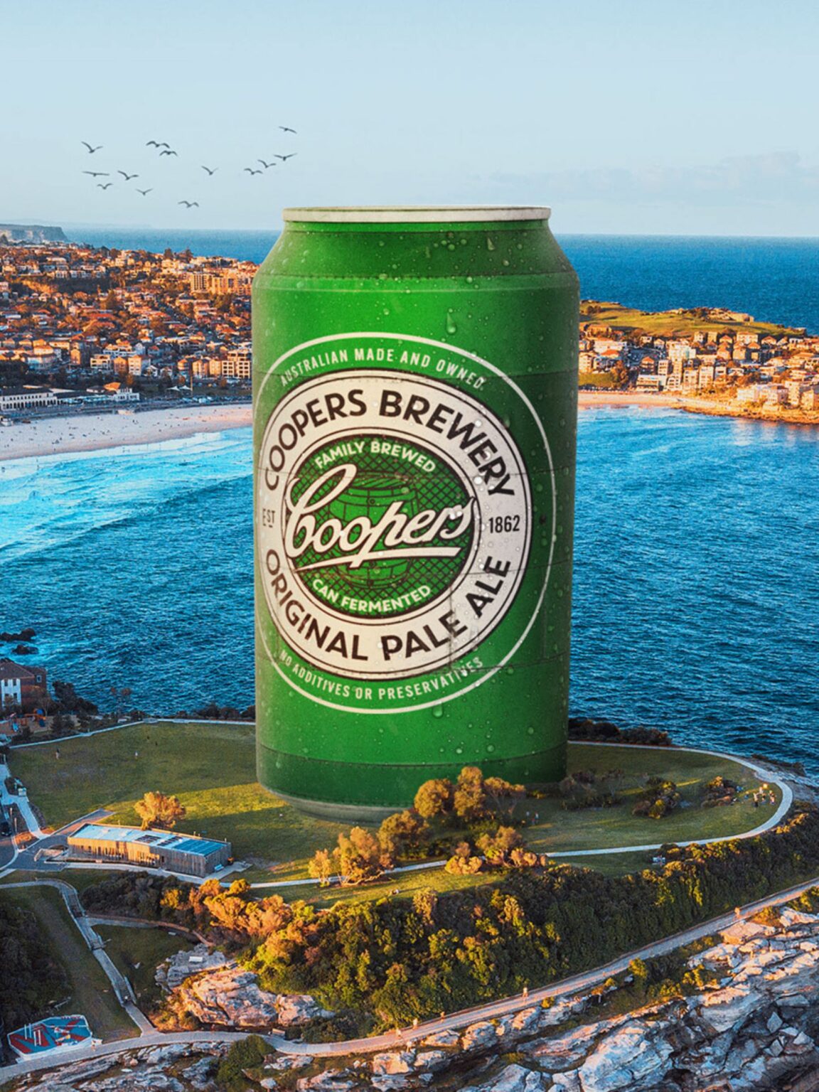 Best Australian Beer Brands: From Travla To Coopers