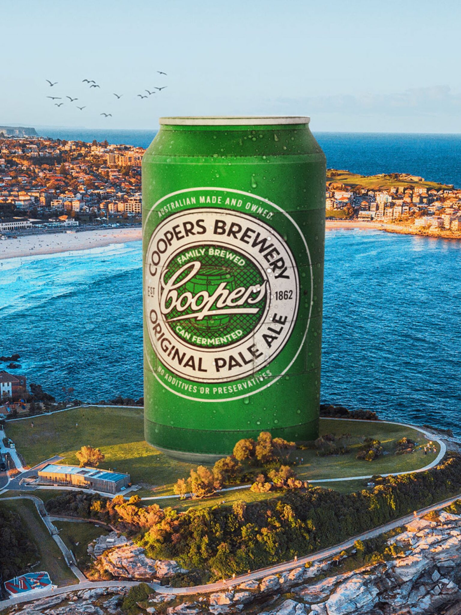 Best Australian Beer Brands: From Travla To Coopers