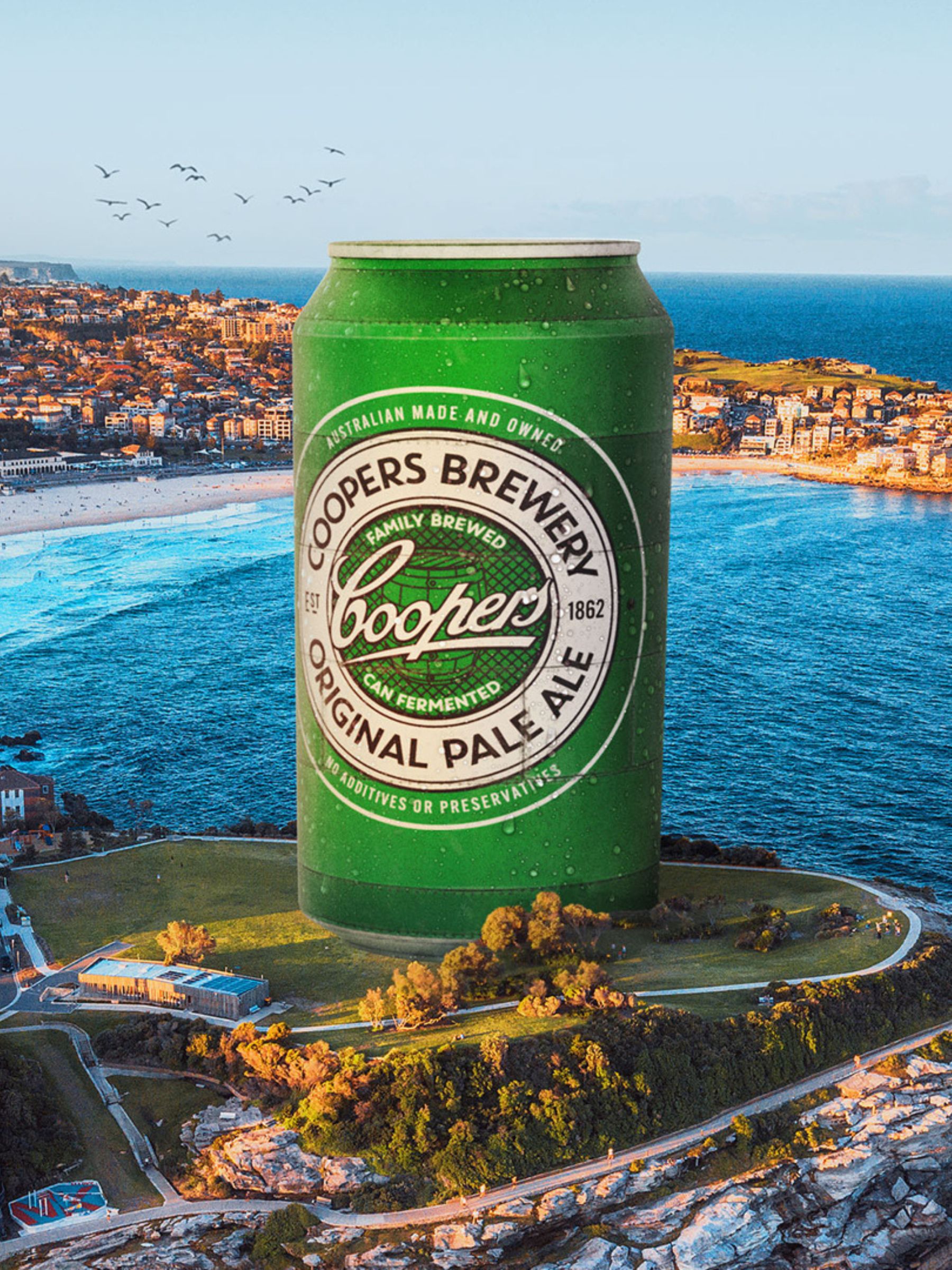 Best Australian Beer Brands: From Travla To Coopers