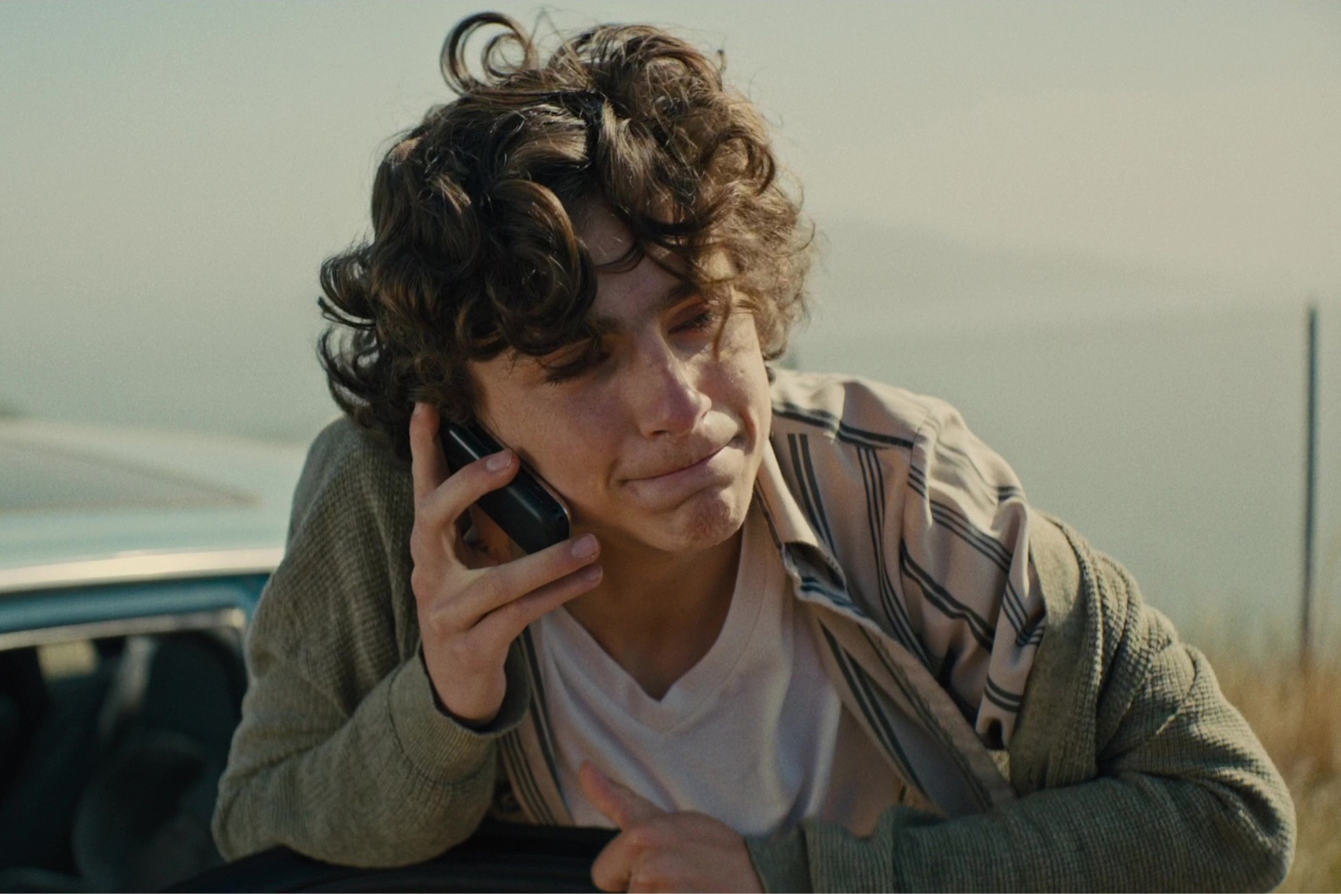 Timothée Chalatmet's Best Movies, Ranked