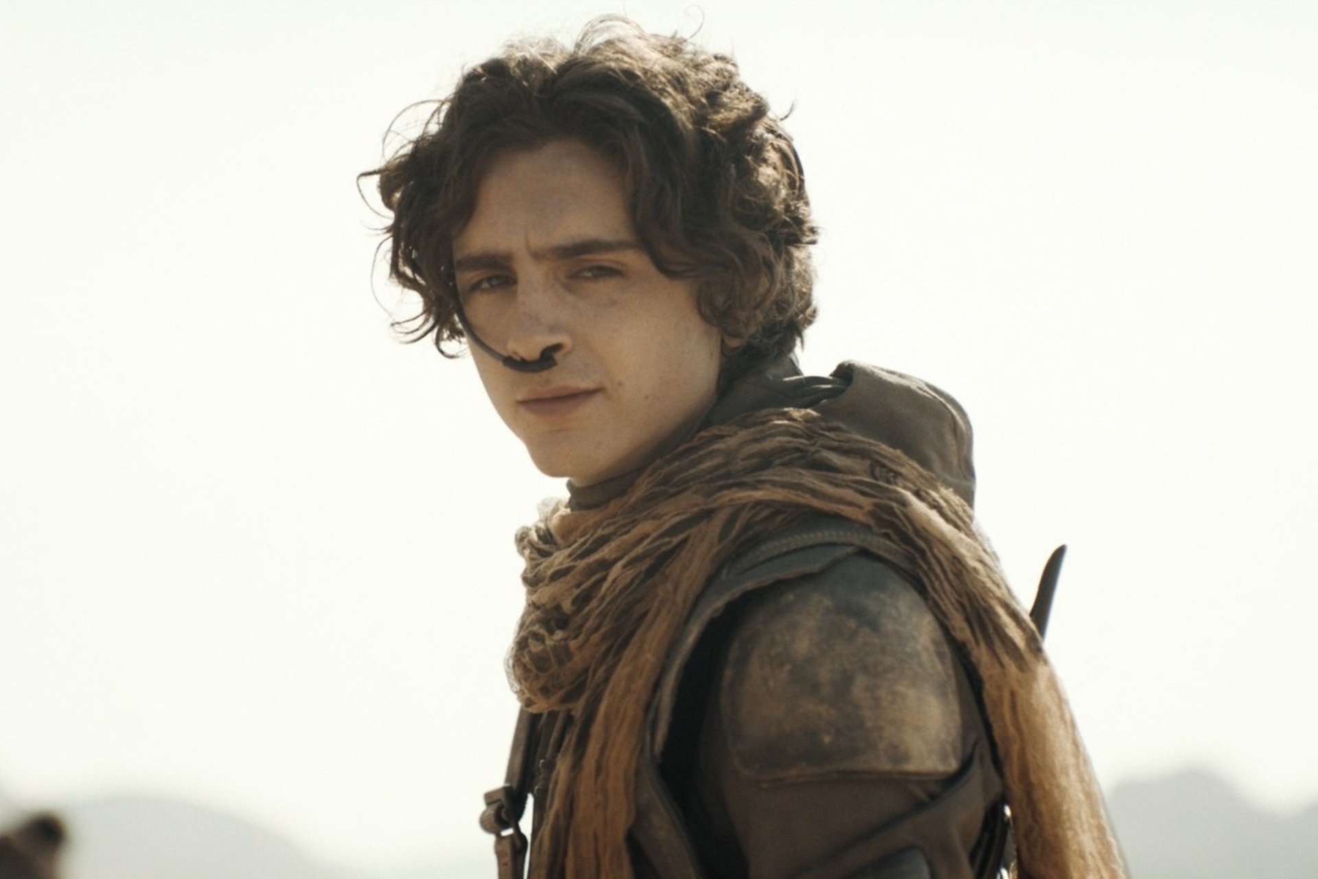 Timothée Chalatmet's Best Movies, Ranked