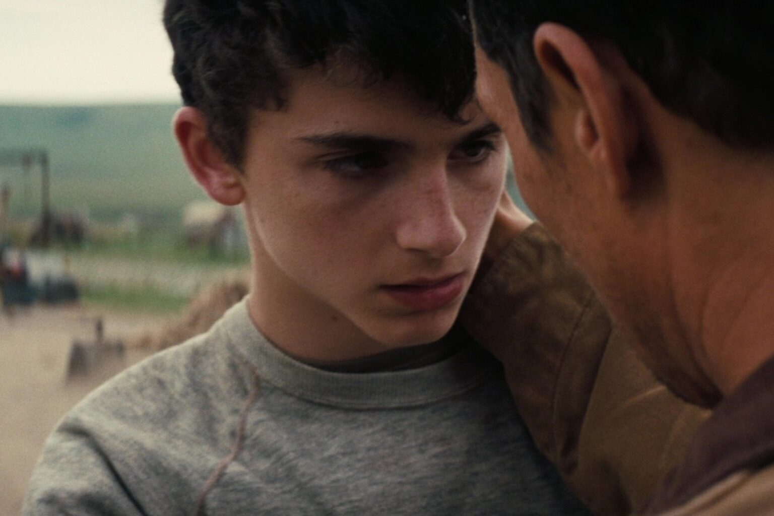 Timothée Chalatmet's Best Movies, Ranked