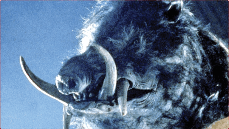 The Best Australian Horror Films To Add To Your Watchlist